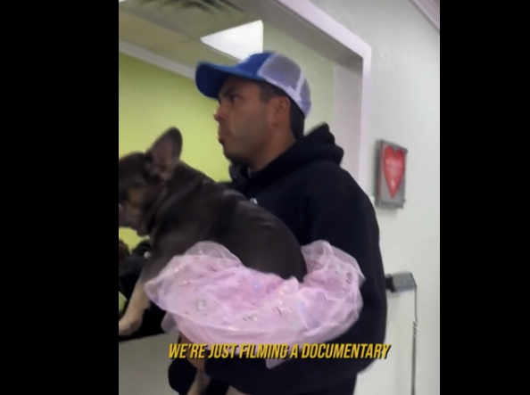 Man Takes His Dog to Vet for 'Gender Transition' Surgery in Hilarious ...